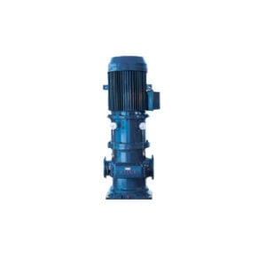 Azcue Pumps - Lavastica International