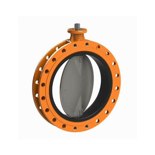 Wouter Witzel EVUS Rubberlined Butterfly Valve - Lavastica International